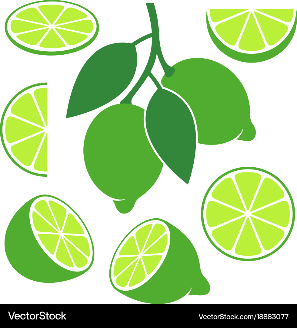 Lime Royalty Free Vector Image - VectorStock