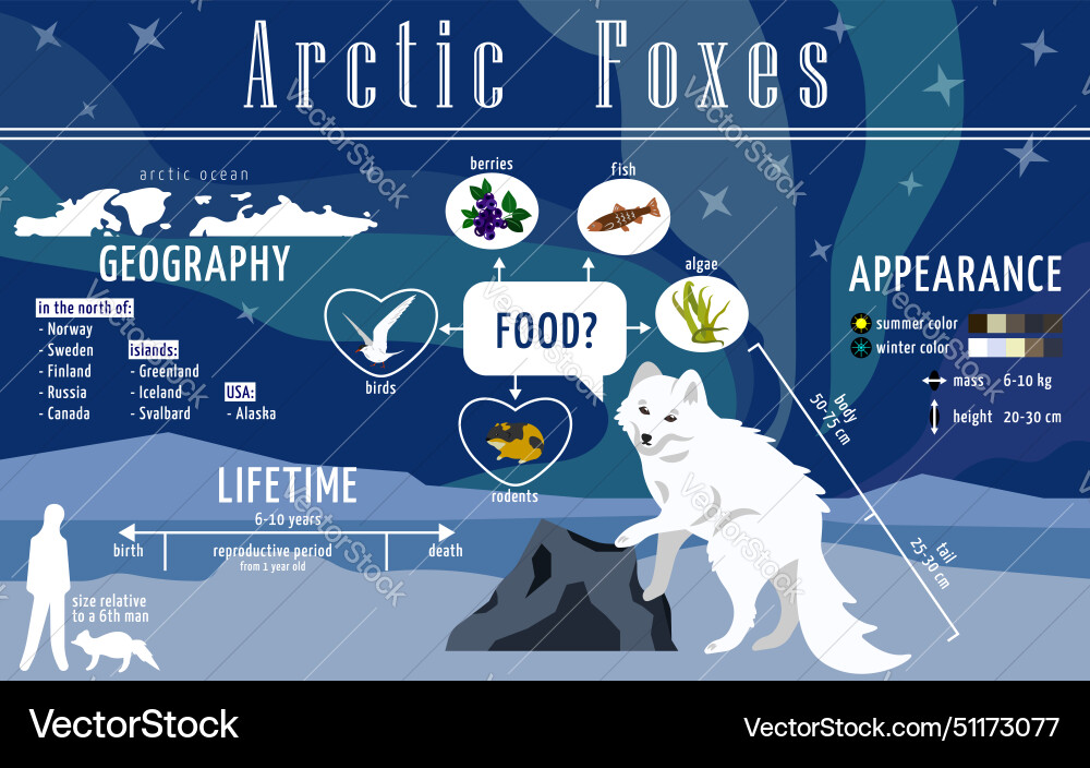 Ready to use educational poster about arctic Vector Image
