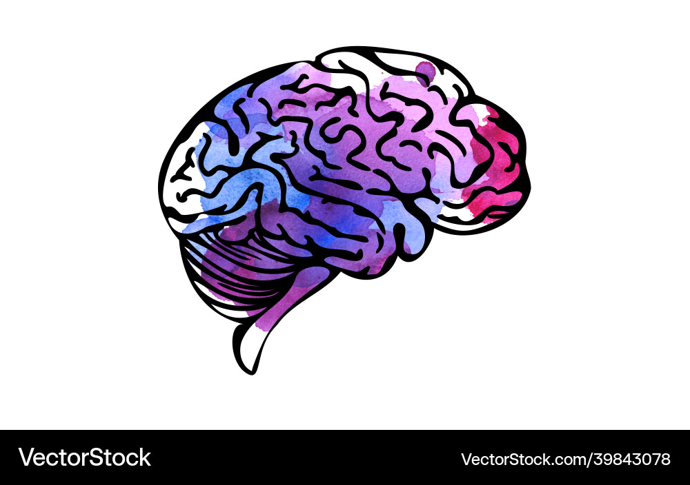 Watercolor brain creativity concept Royalty Free Vector