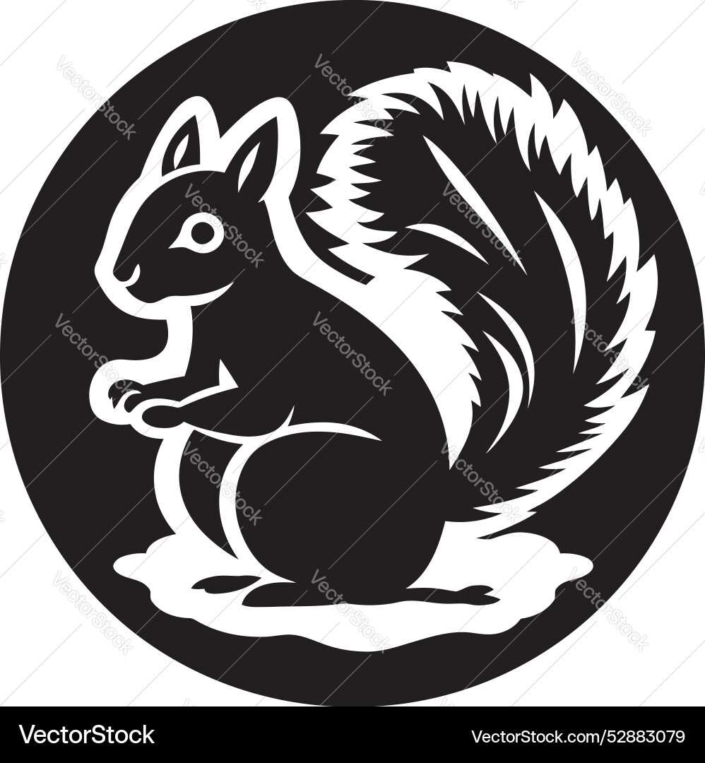 Art monochromatic squirrel black and white Vector Image
