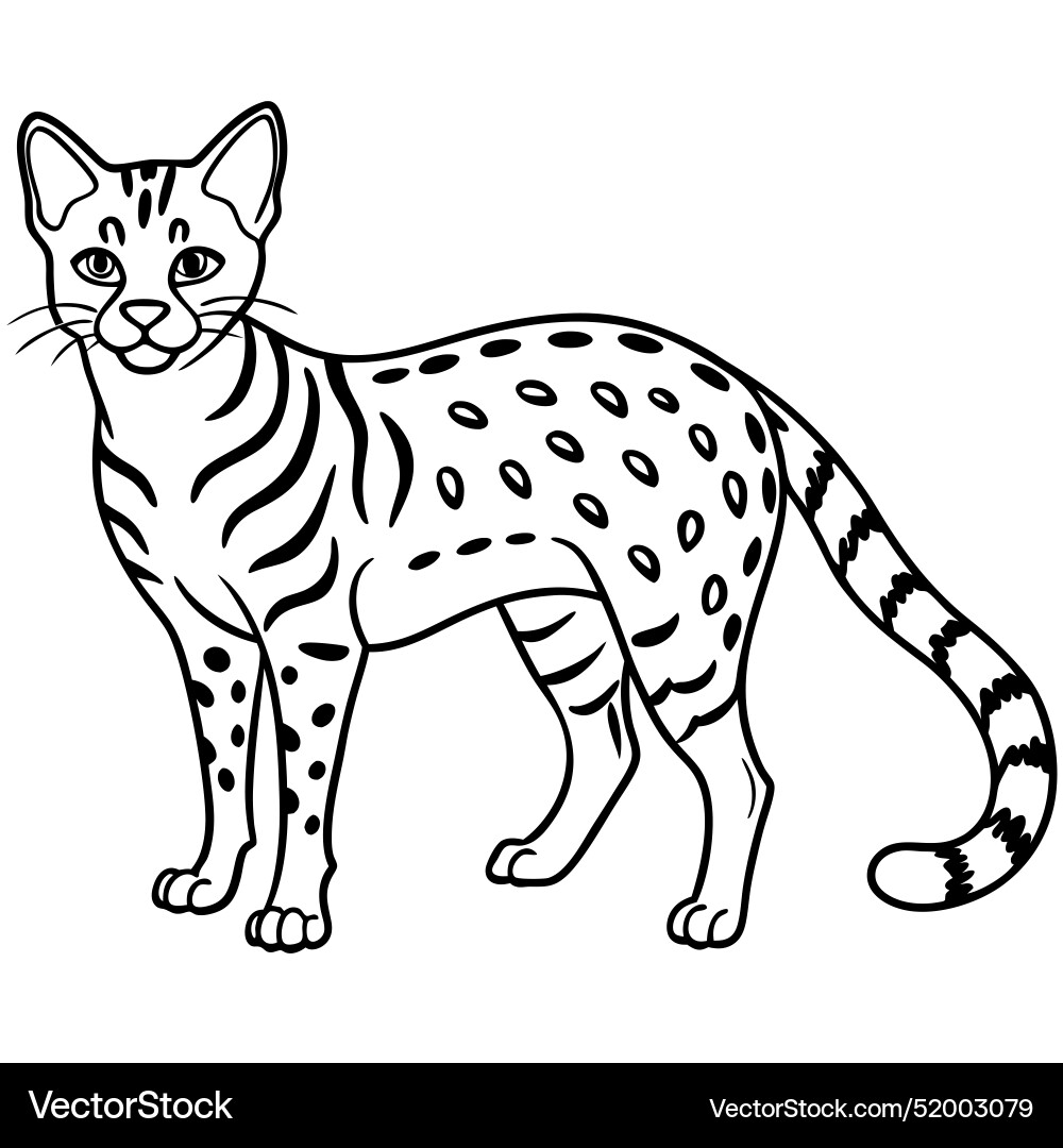Common genet lynx stands icon Royalty Free Vector Image