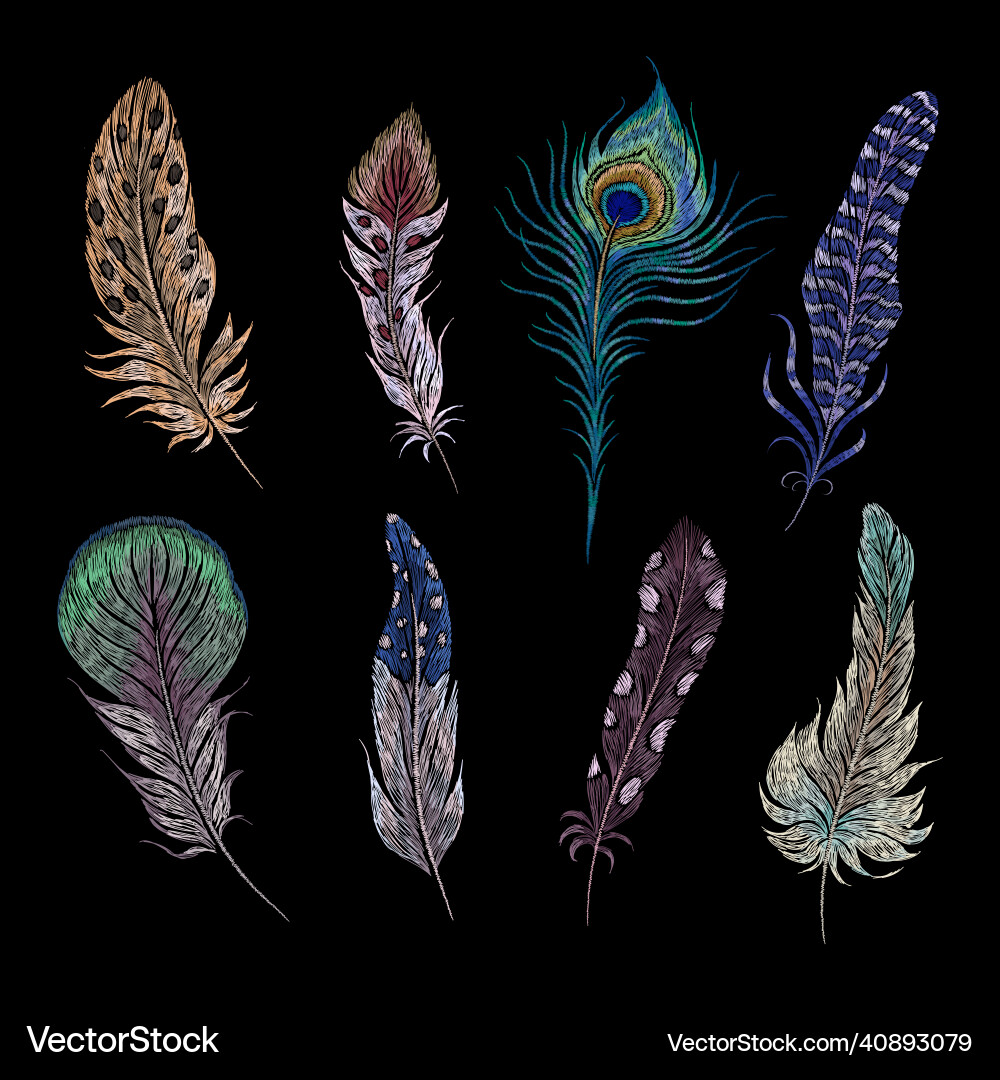 Embroidery feathers birds feather ethnic design Vector Image