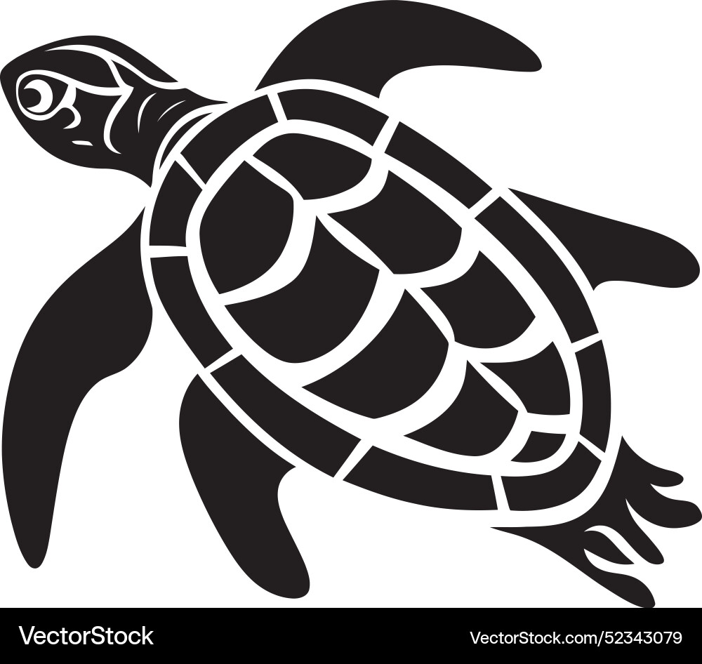 Subtle sophistication black turtle style intrigue Vector Image