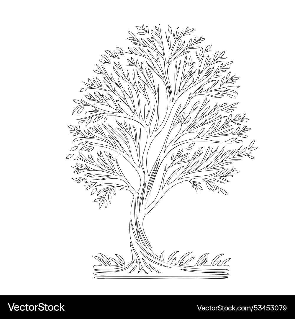 Willow tree nature outline sketch Royalty Free Vector Image