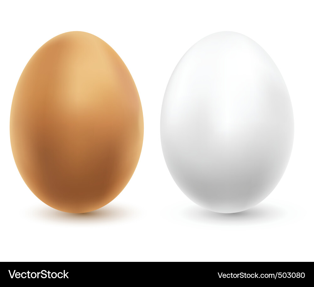Eggs Royalty Free Vector Image - VectorStock