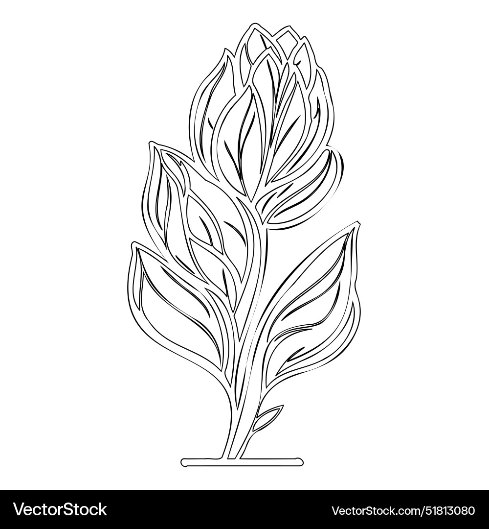 Tulip flower outline sketch Royalty Free Vector Image
