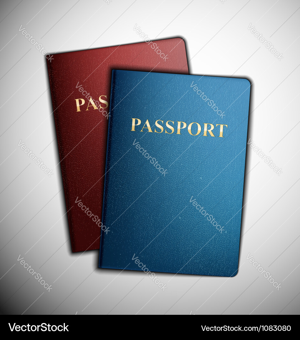 Two passports Royalty Free Vector Image - VectorStock