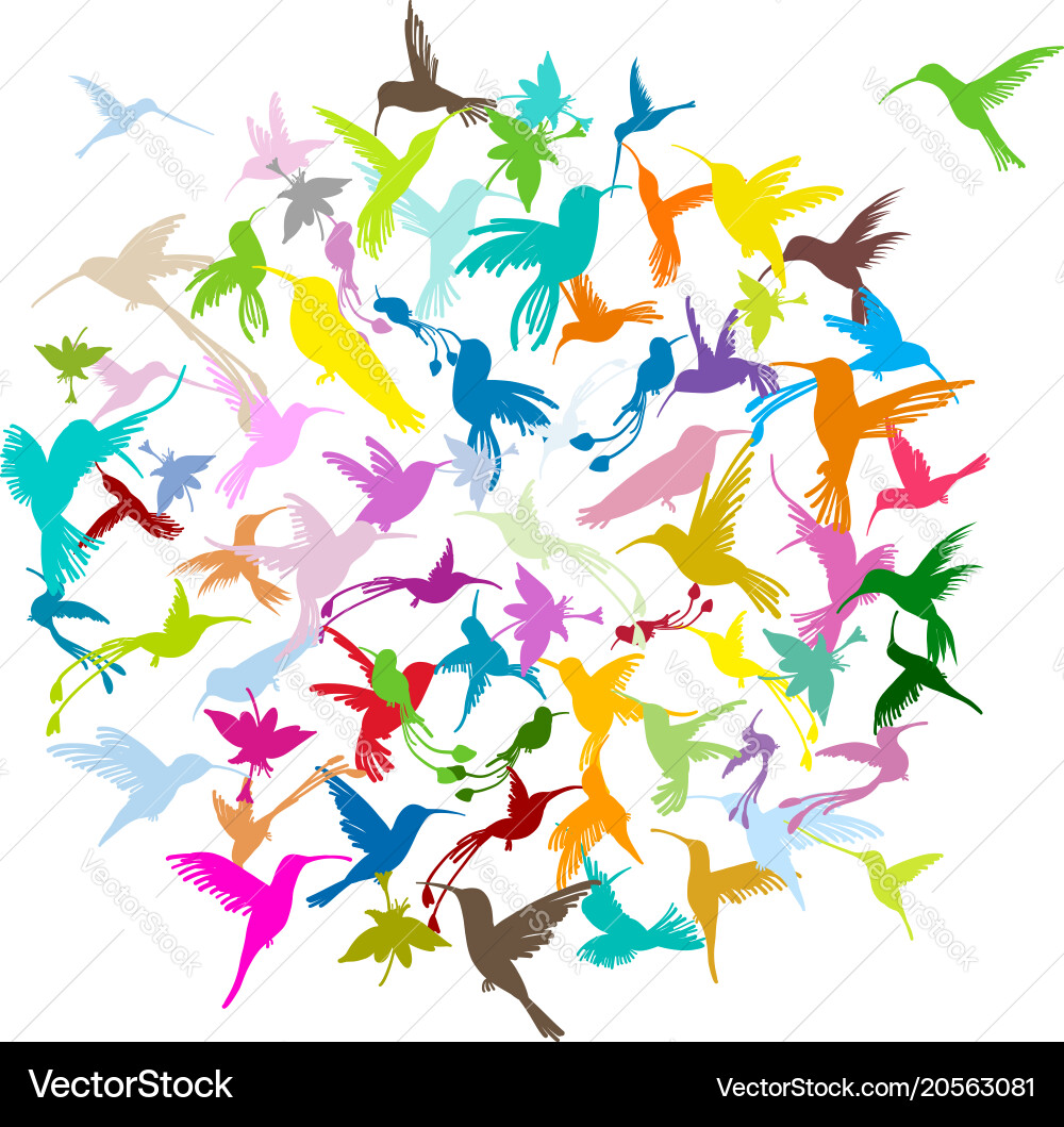 Colorful Hummingbird Sketch Collection Royalty Free Vector