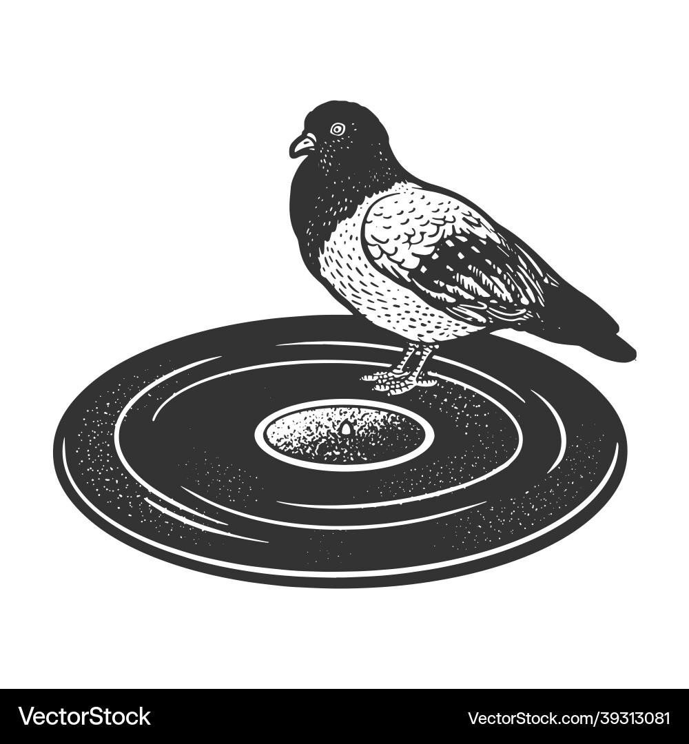 Dove on vinyl disc sketch Royalty Free Vector Image