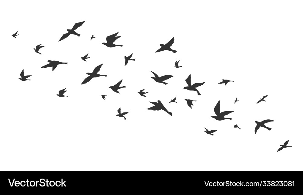 Flying bird free birds flock in flight black Vector Image