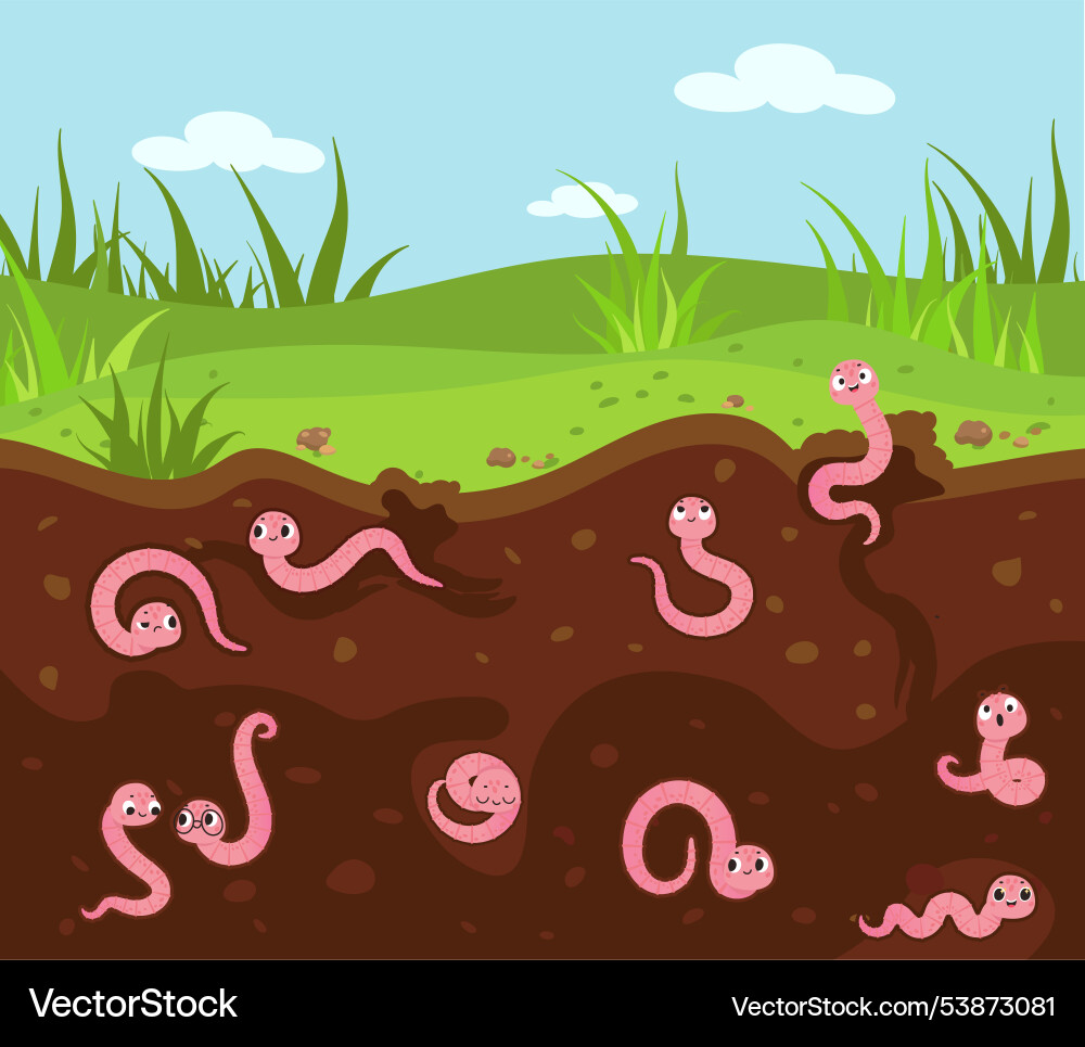 Worms creepers underground worm in ground Vector Image