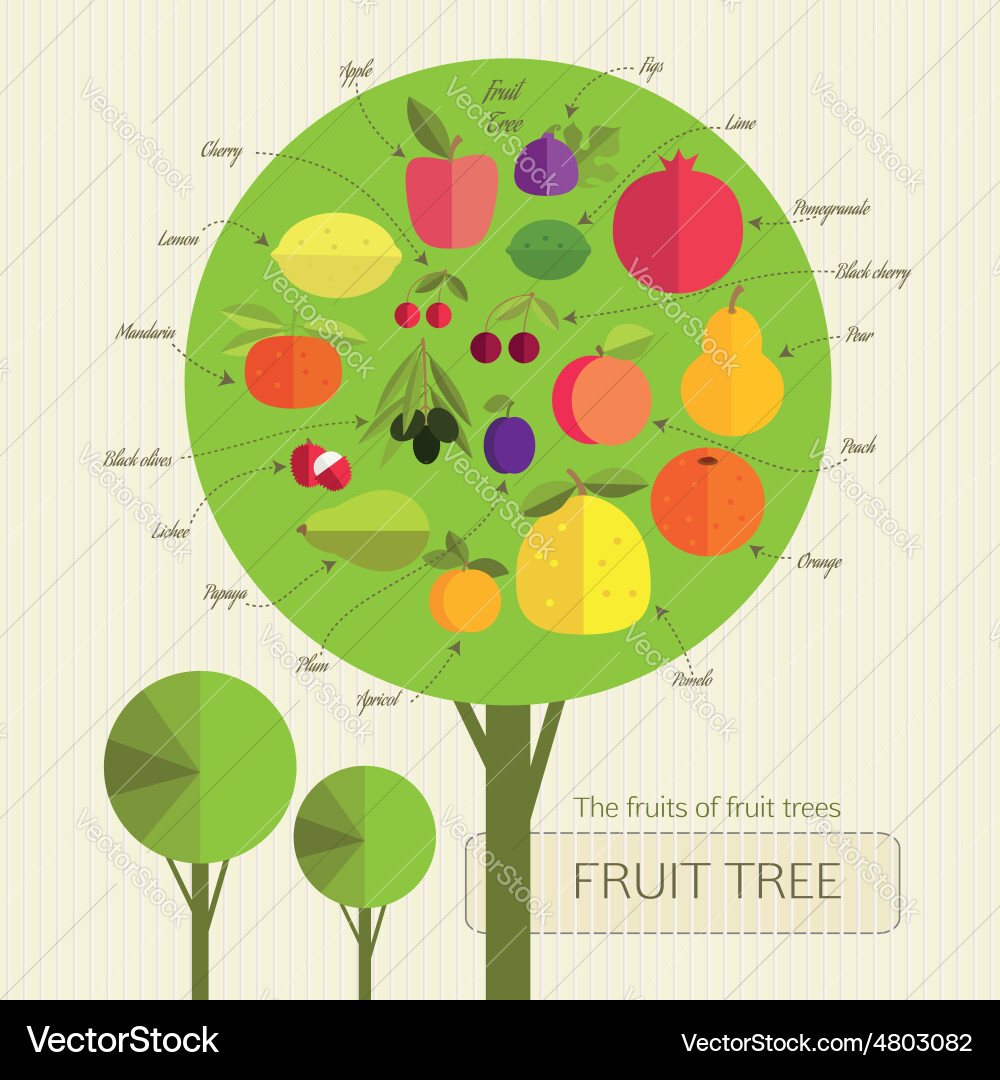 Colorful Fruit Tree Illustration Royalty Free Vector Image
