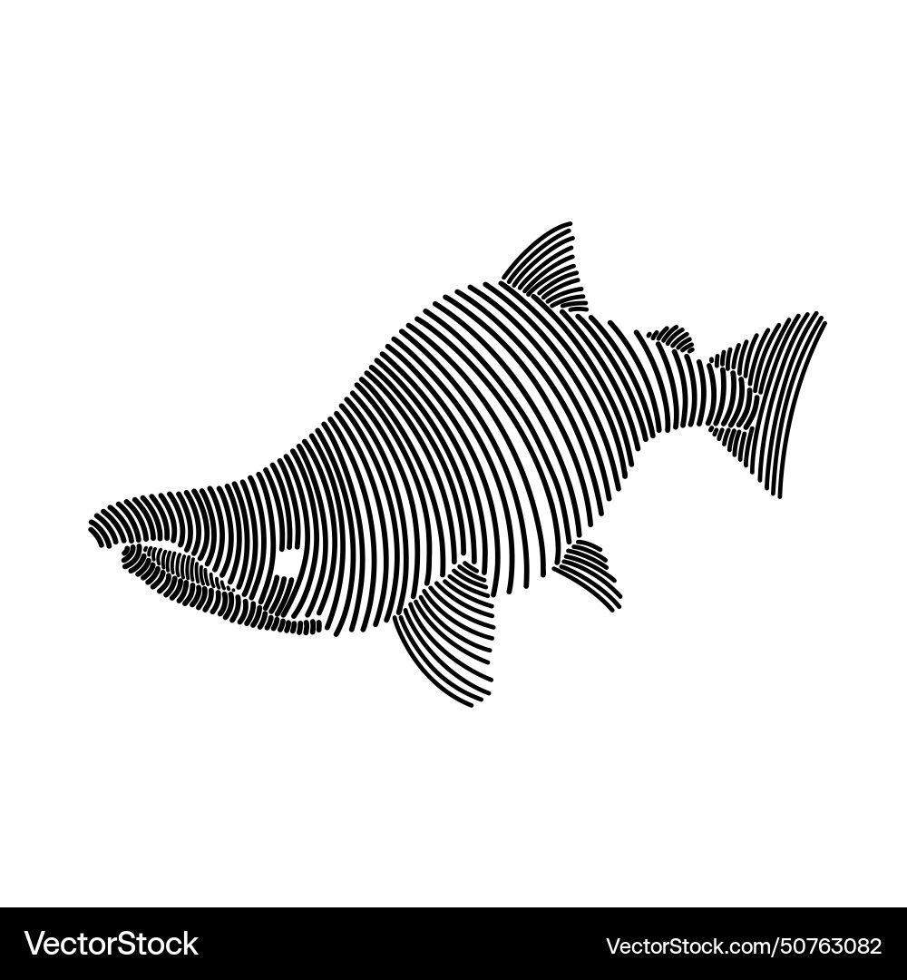 Simple line art of salmon 2 Royalty Free Vector Image