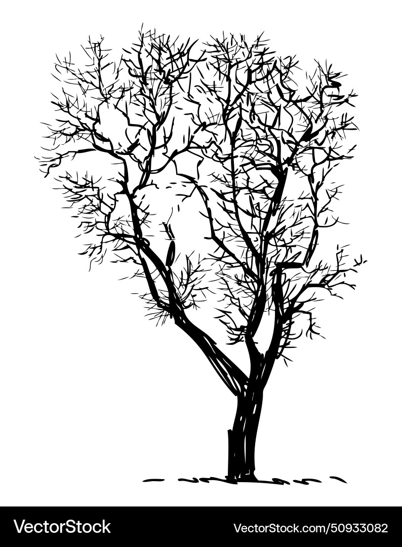 Tree bare deciduous silhouette single Royalty Free Vector