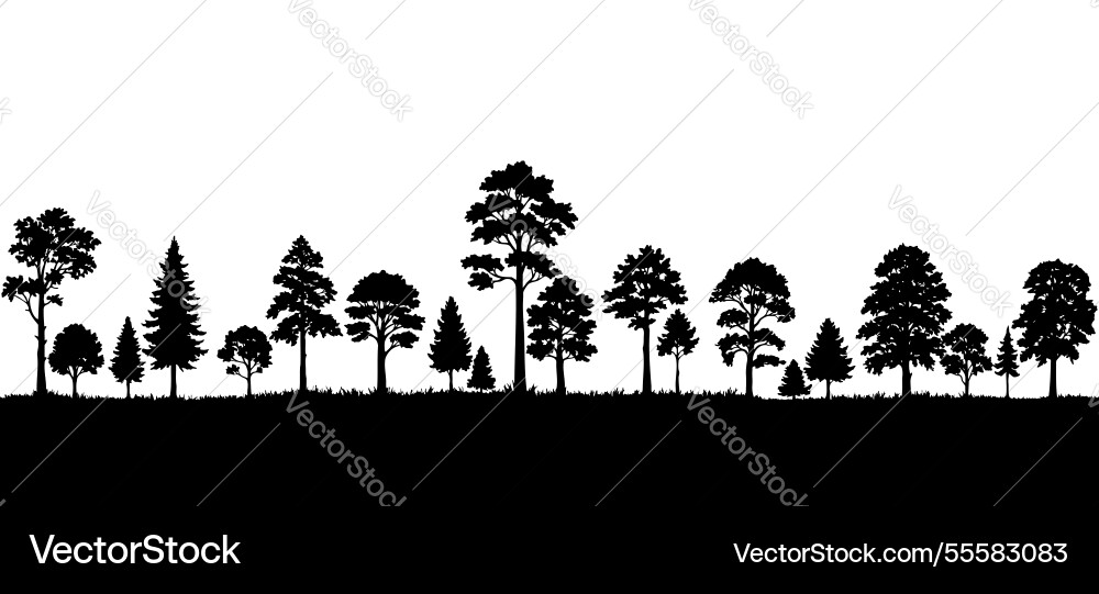 Forest tree line silhouette seamless pattern Vector Image