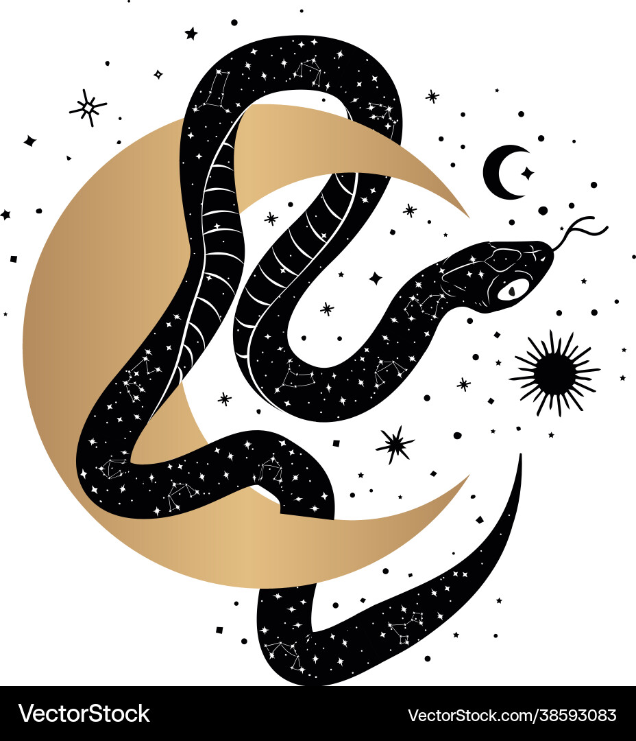 Magic snake tarot cards occult esoteric Royalty Free Vector