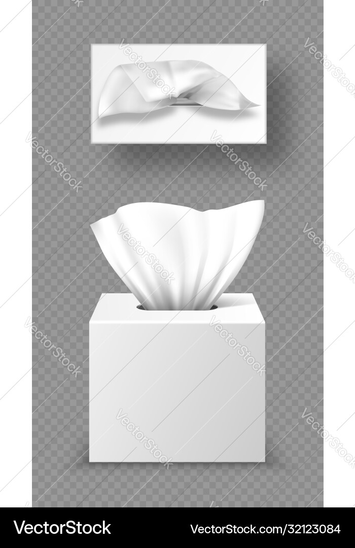 Paper Napkin Box Mockup - Open & Closed Vector Image