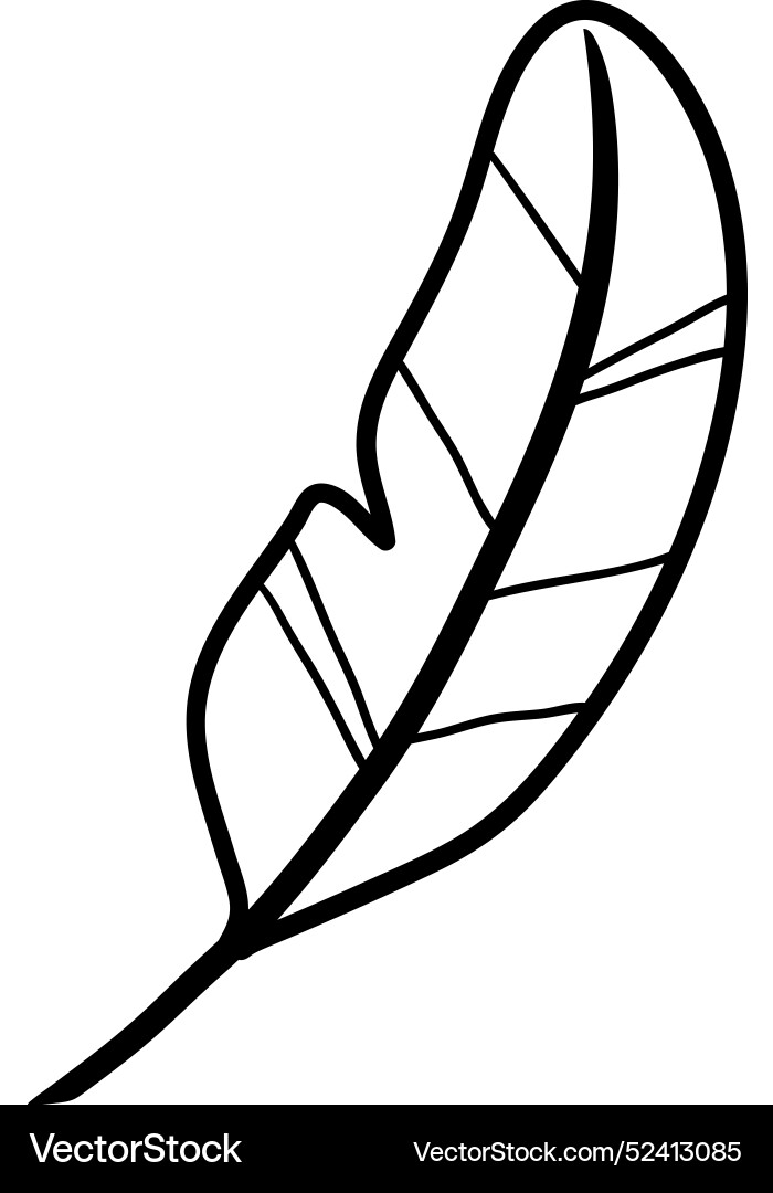 Line art of bird feather Royalty Free Vector Image