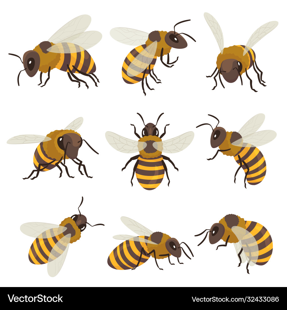 Bees set winged insect flying sitting creeping Vector Image