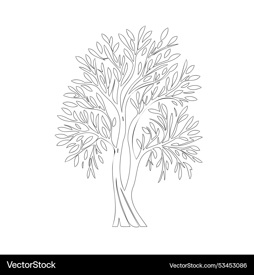Willow tree nature outline sketch Royalty Free Vector Image
