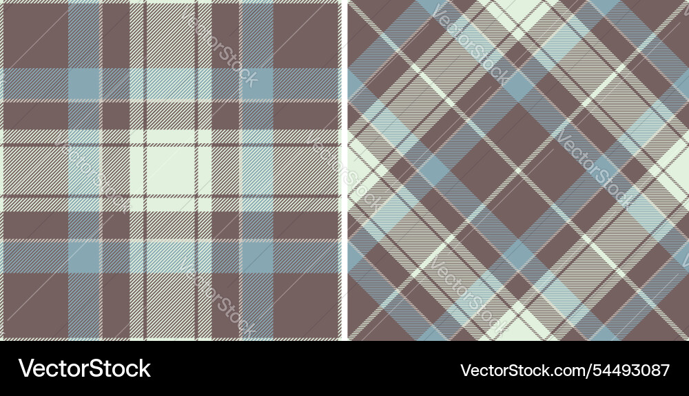 Check textile pattern of background texture Vector Image