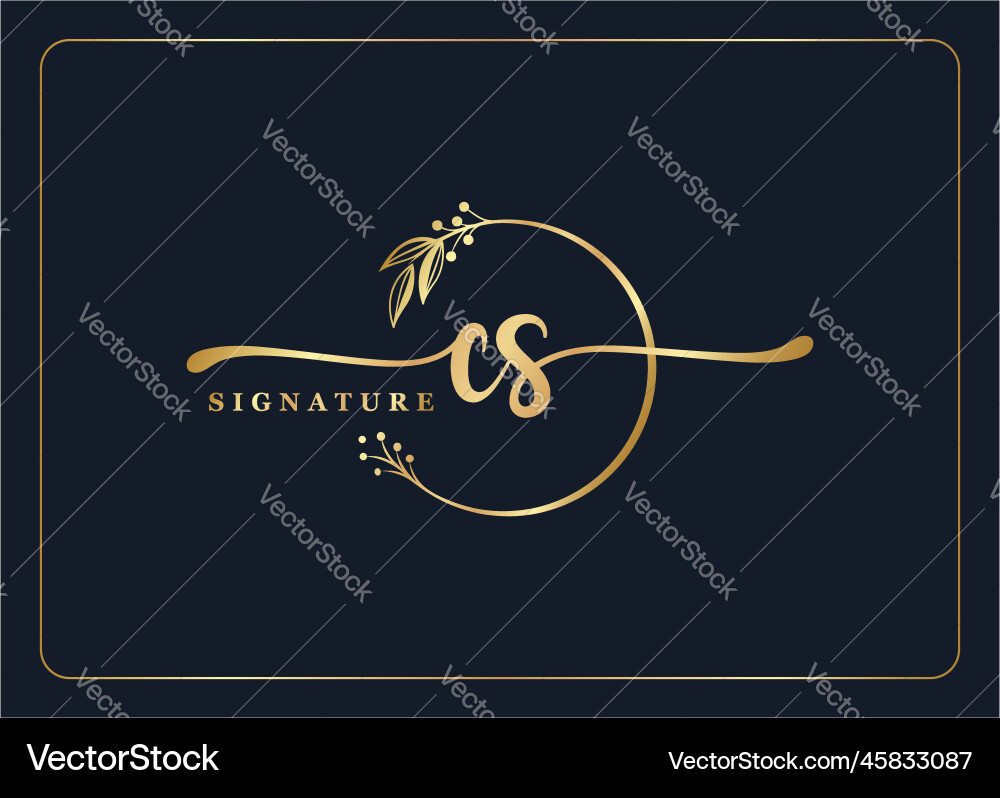 Cs Signature Vector Images (over 370)