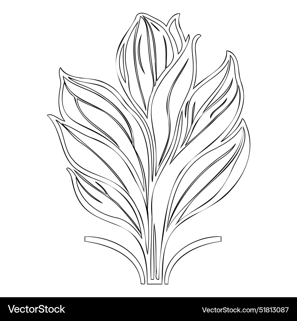 Tulip flower outline sketch Royalty Free Vector Image
