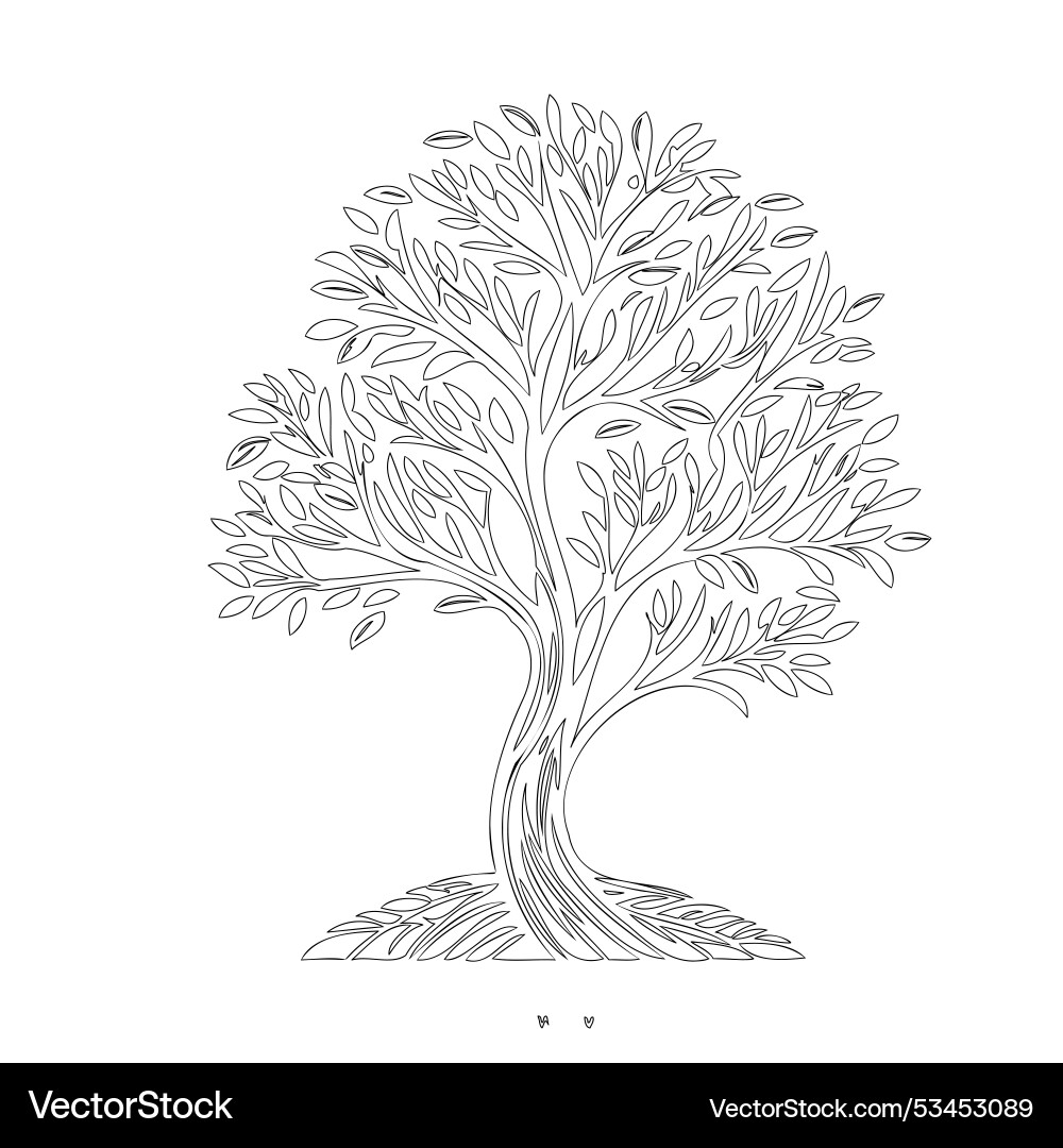 Willow tree nature outline sketch Royalty Free Vector Image