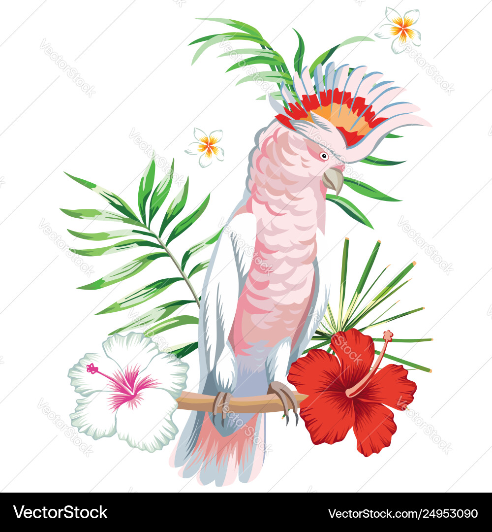 Parrot ara with tropical plants and flowers white Vector Image