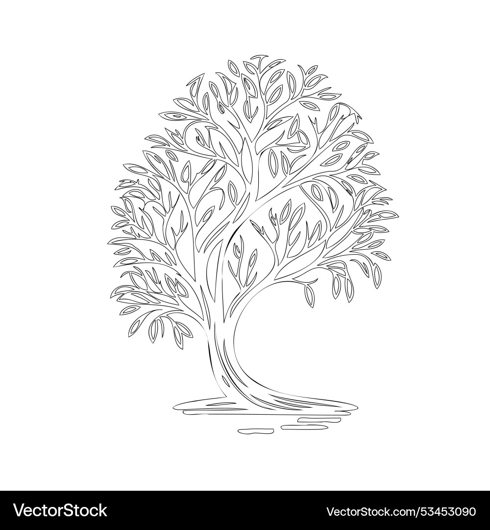 Willow tree nature outline sketch Royalty Free Vector Image