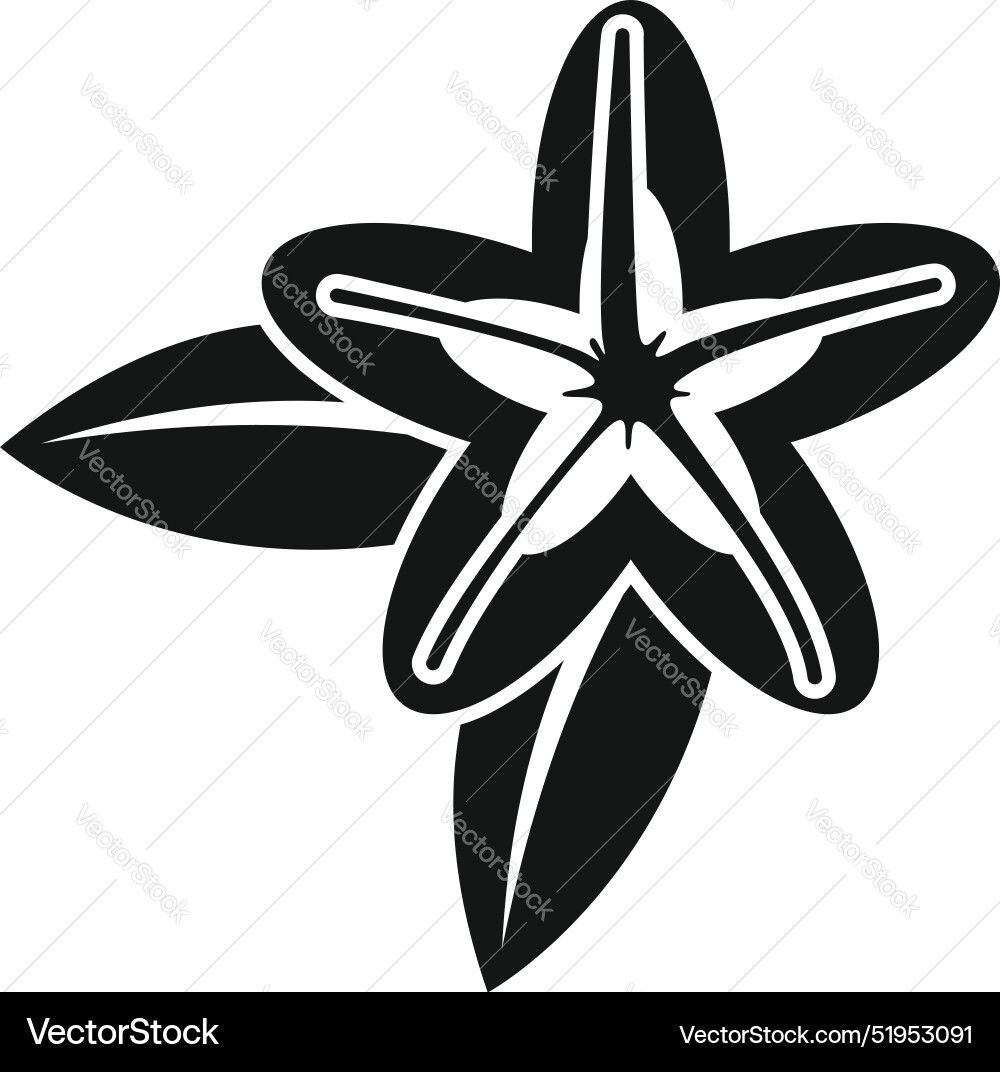 Exotic star shaped flower blooming in black Vector Image
