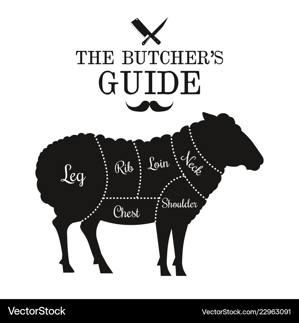 Mutton and lamb cut lines diagram graphic poster Vector Image