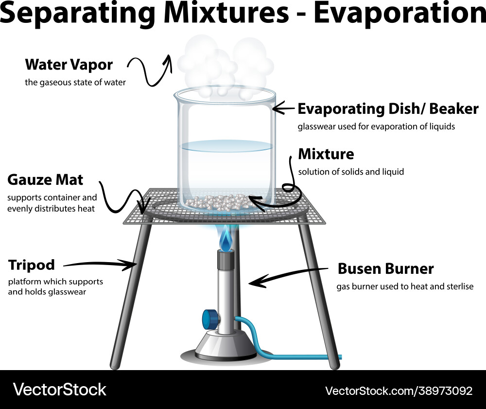 Diagram showing evaporation separating mixtures Vector Image