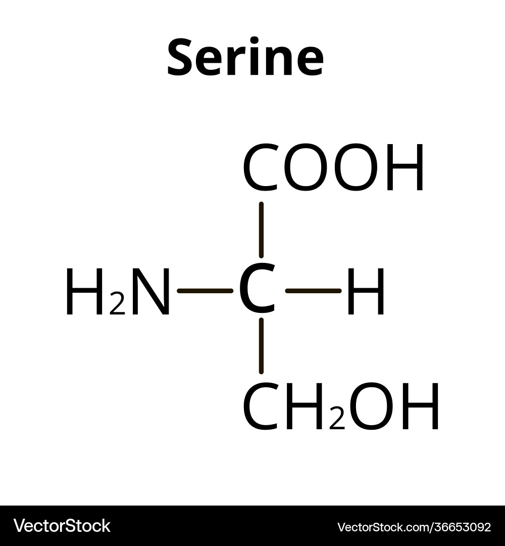 Serine amino acid chemical molecular formula Vector Image