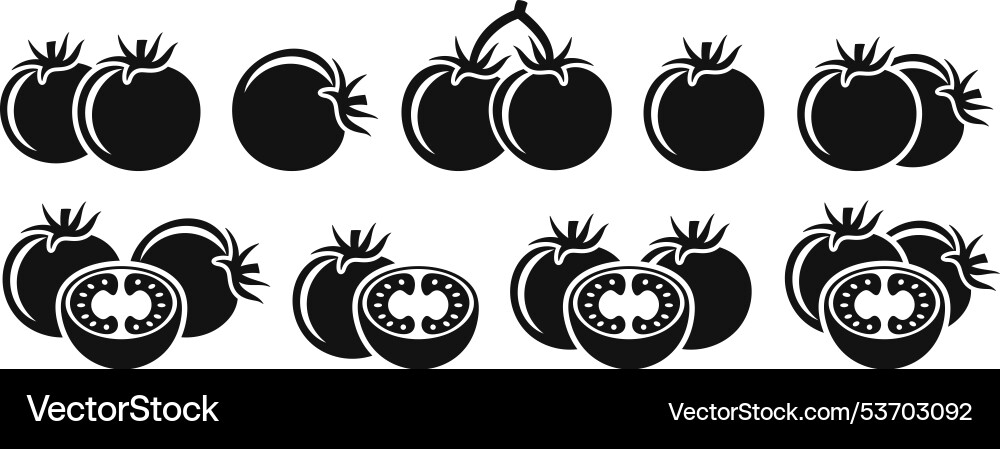 Tomato Royalty Free Vector Image - VectorStock