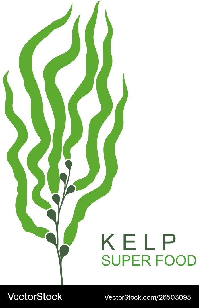 Cyanobacteria Vector Images (over 580)