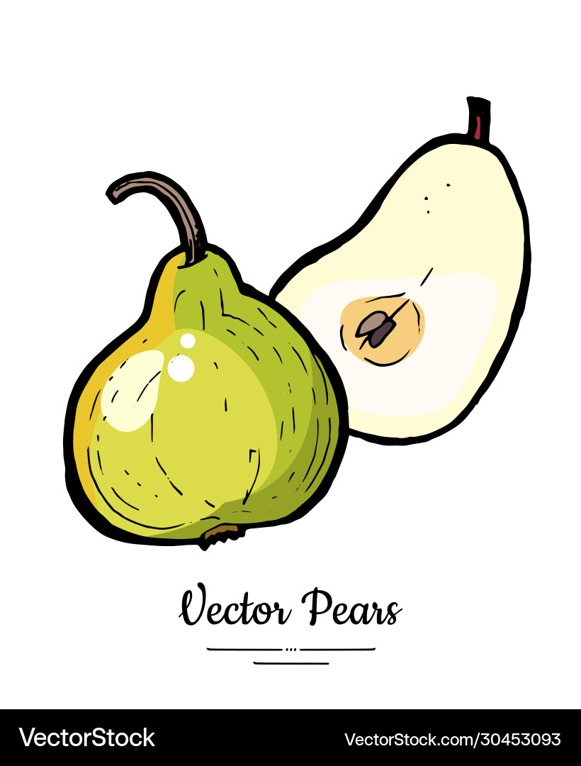 Pears fruits isolate green pear whole Royalty Free Vector