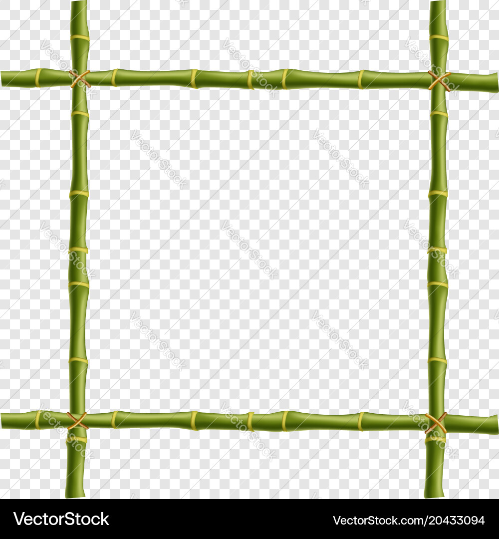 Green Bamboo Border – Realistic Poles & Sticks