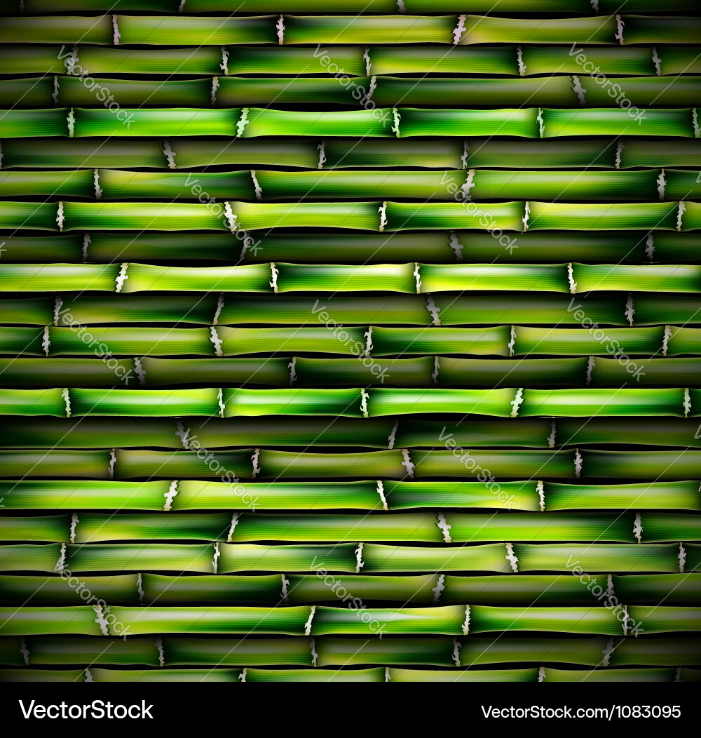 Bamboo Pattern Background Royalty Free Vector Image