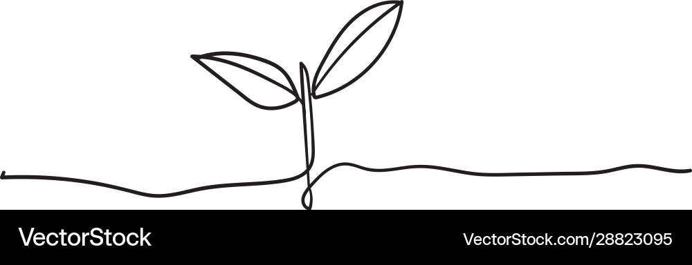 Continuous Line Sprout Royalty Free Vector Image