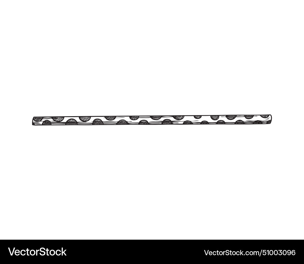 Black and white cocktail straw on isolated Vector Image