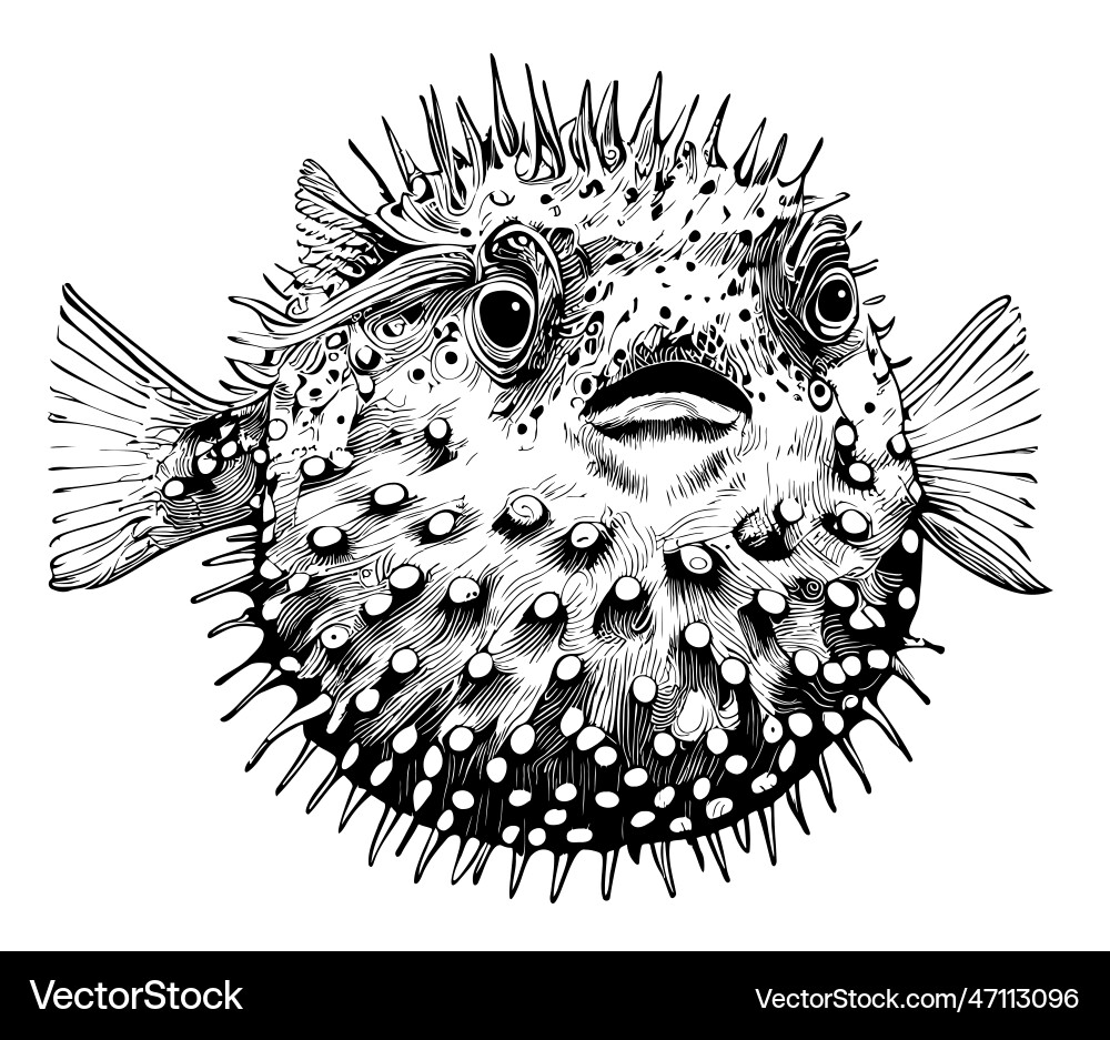 Hand-Drawn Puffer Fish Sketch Royalty Free Vector Image