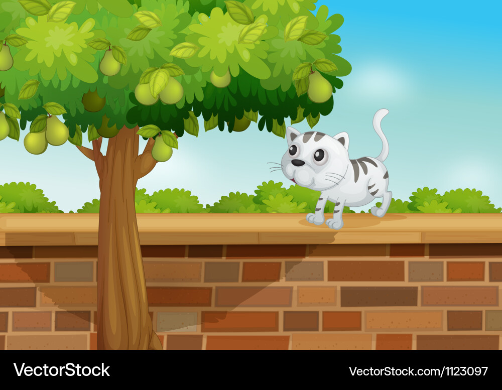 A cat on wall Royalty Free Vector Image - VectorStock