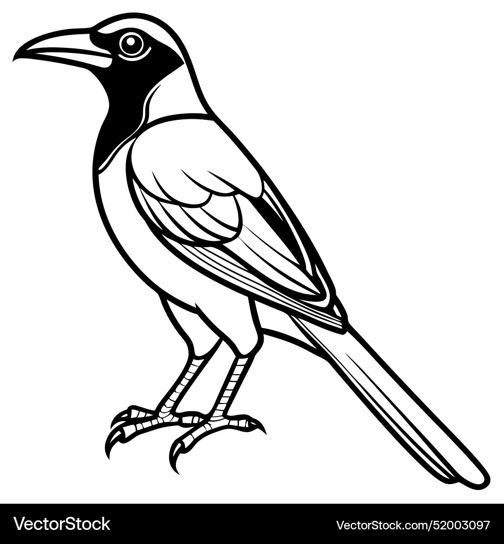 Common grackle bird sits icon Royalty Free Vector Image