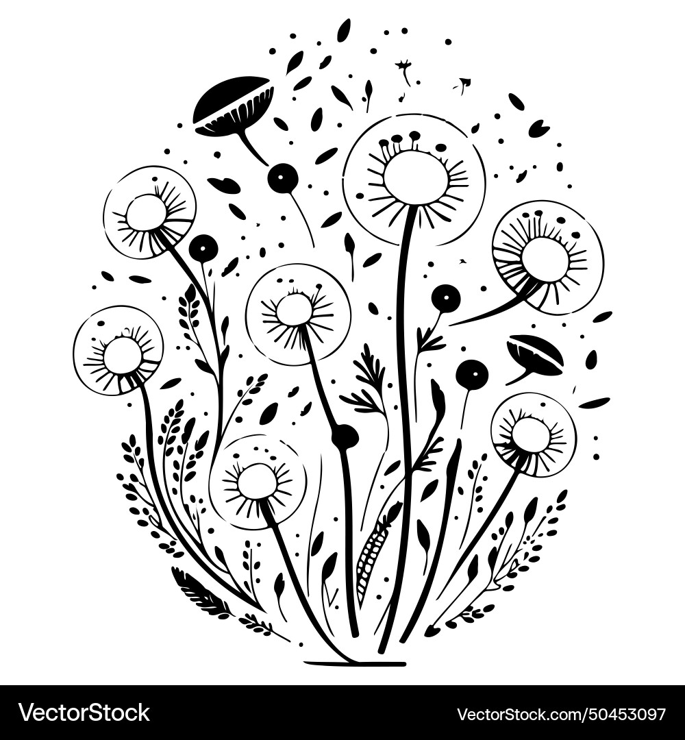 Doodle dandelions with flying seed sketch hand Vector Image