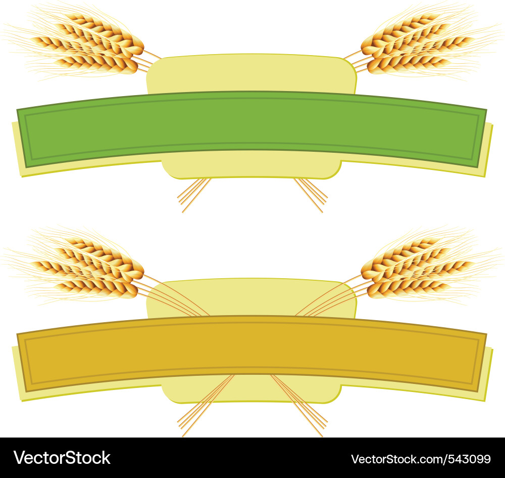 Package design Royalty Free Vector Image - VectorStock