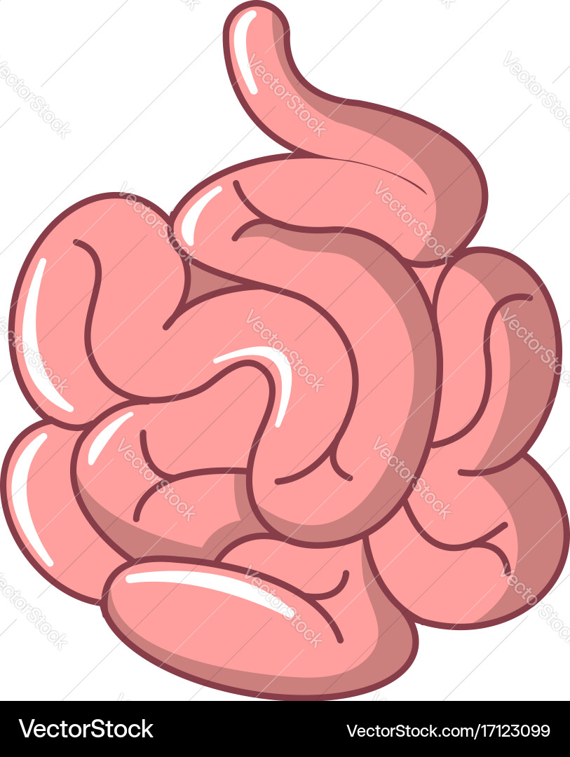 Large Intestine Cartoon 7,235 Colon Cartoon Royalty Free Photos And