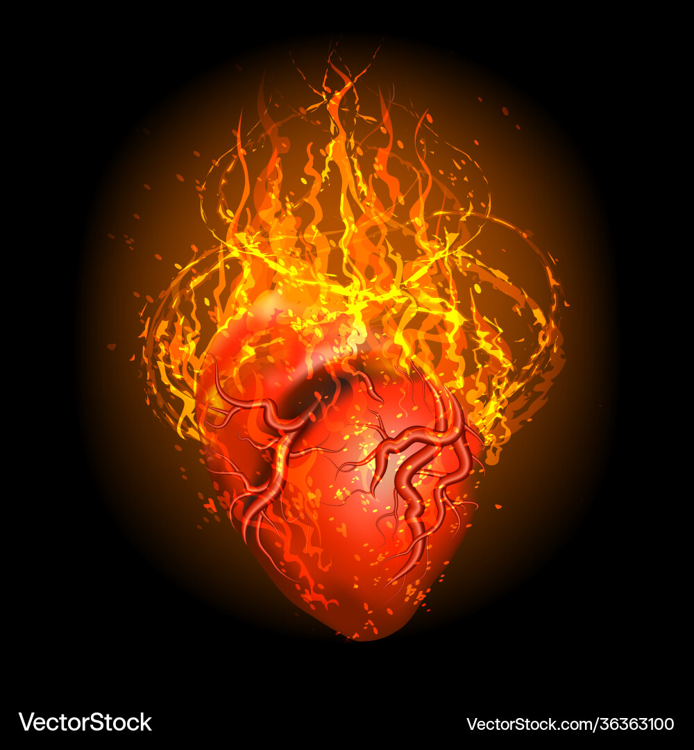 Burning heart Royalty Free Vector Image - VectorStock
