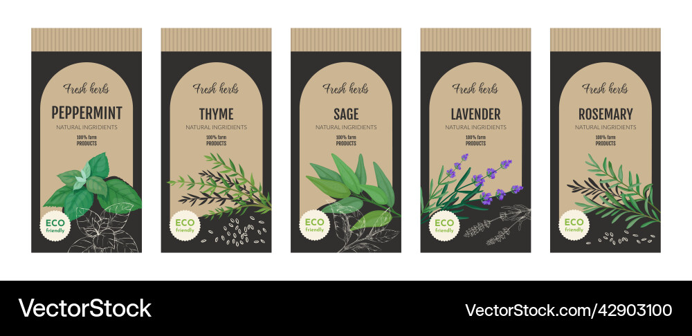 Herb tea label package with nature organic Vector Image