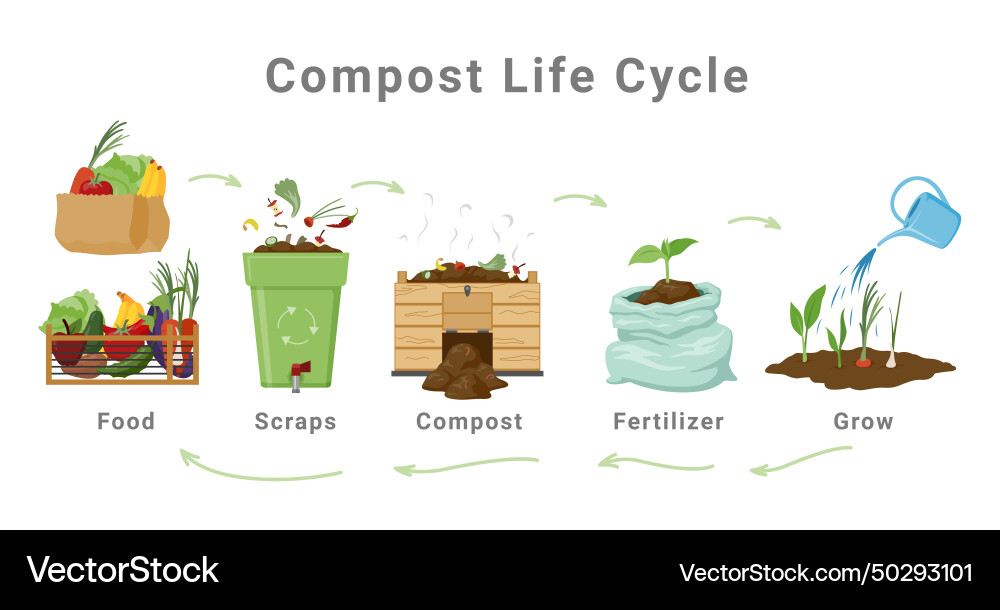 Compost Life Cycle Infographic Royalty Free Vector Image